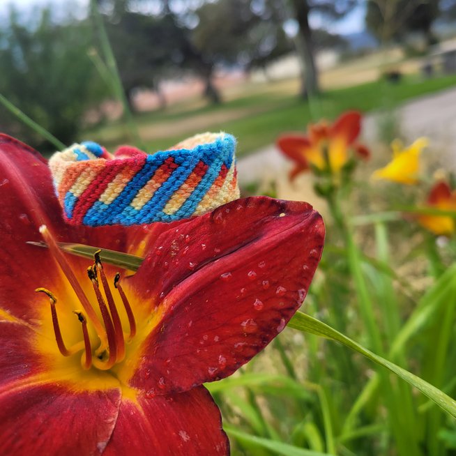 Normal pattern #137007 | BraceletBook