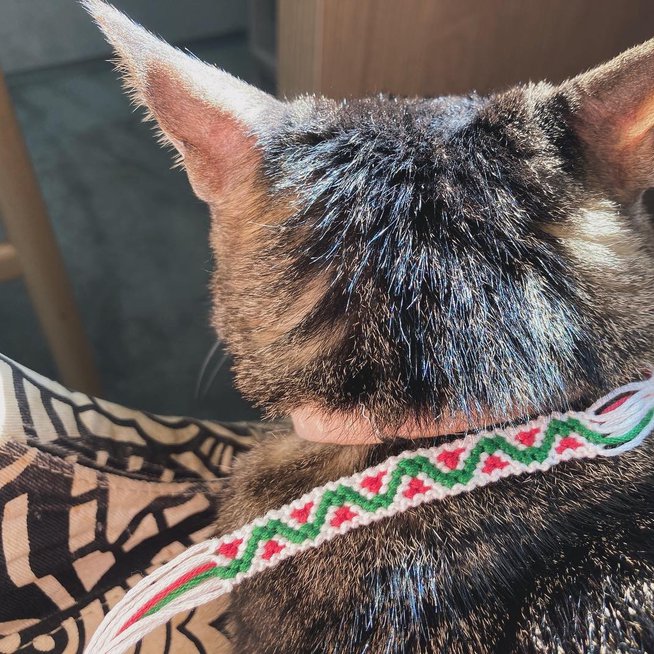 Normal pattern #148659 | BraceletBook