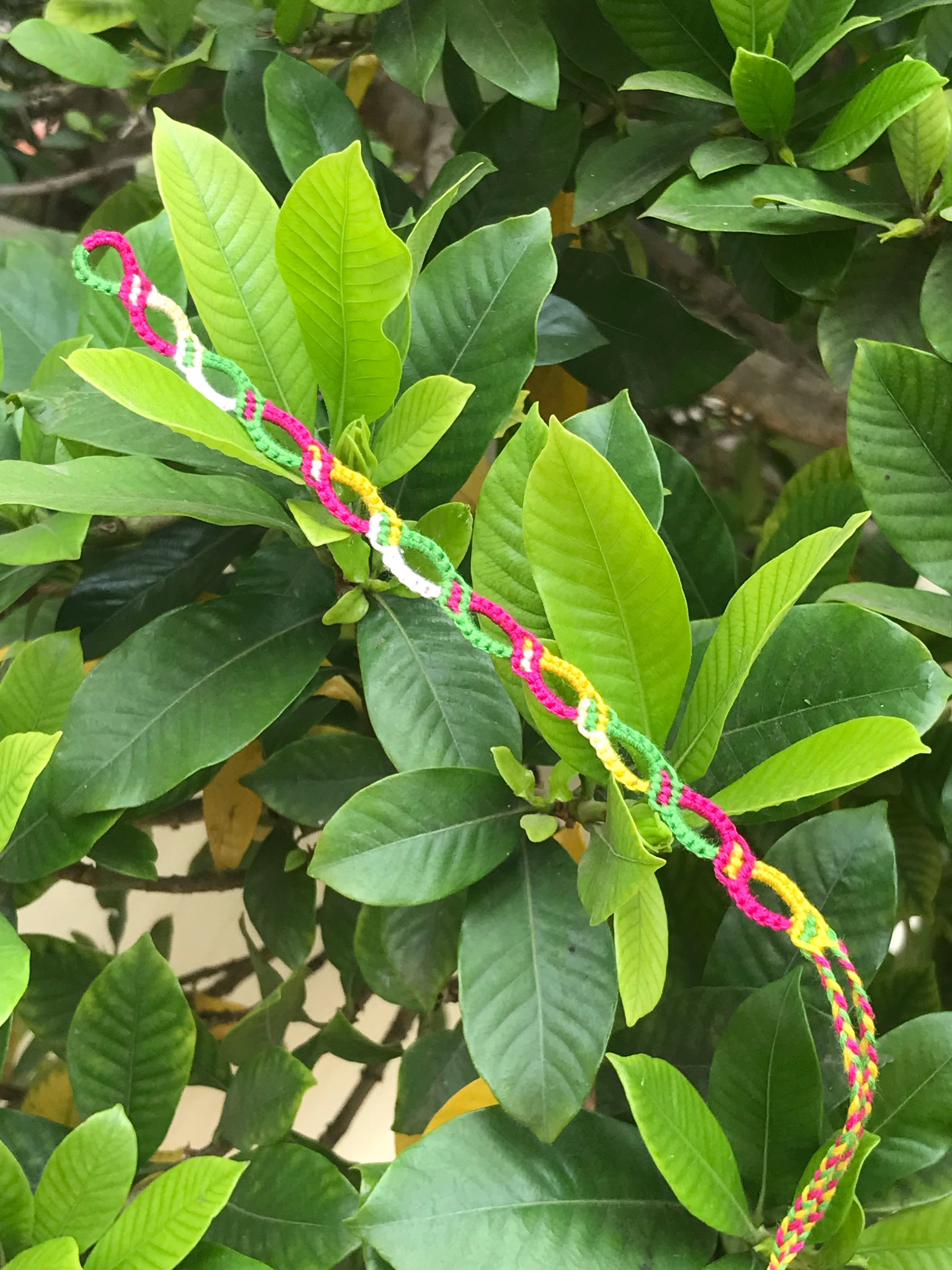 Normal pattern #143631 | BraceletBook