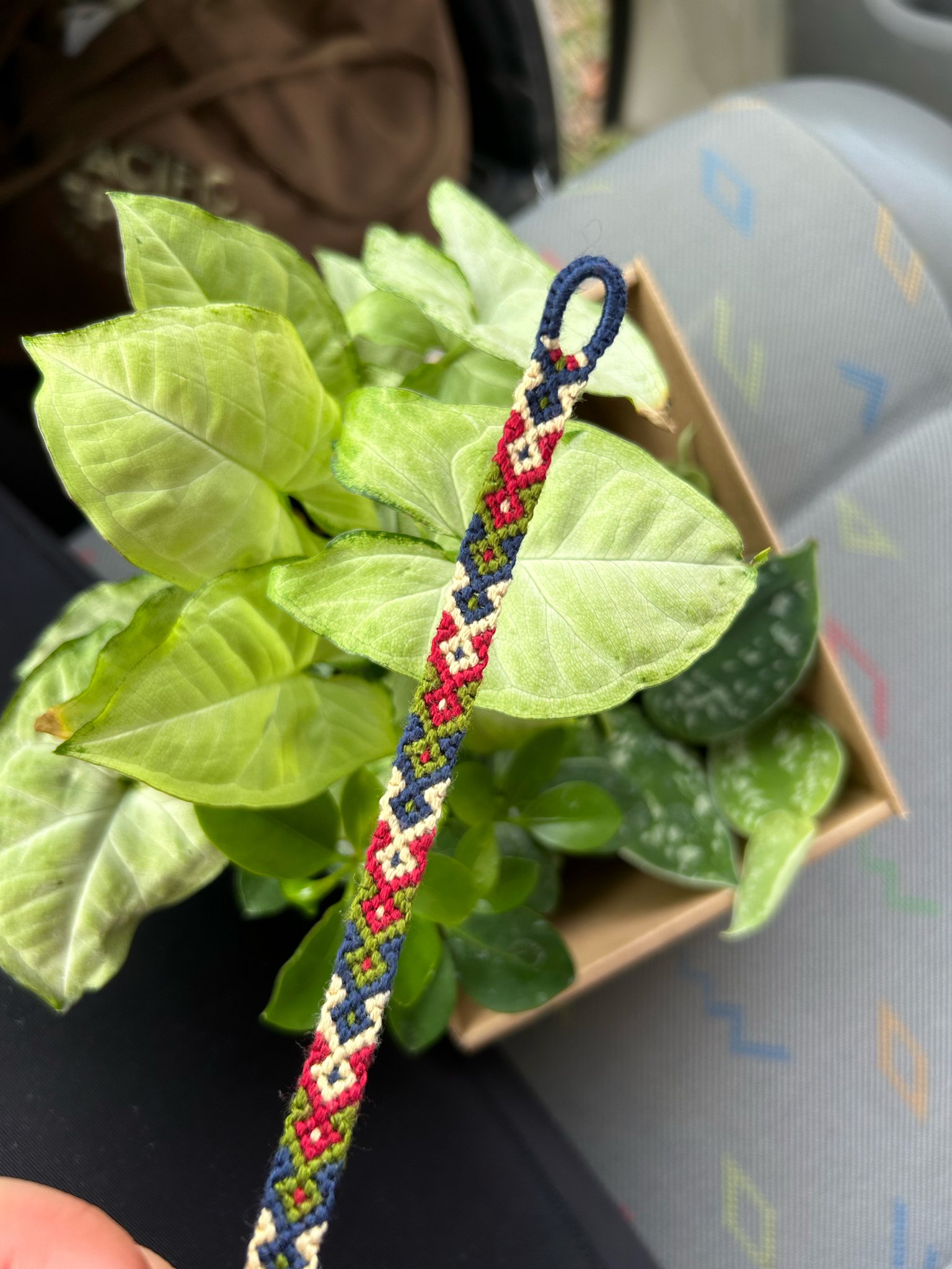 Normal pattern #24529 | BraceletBook