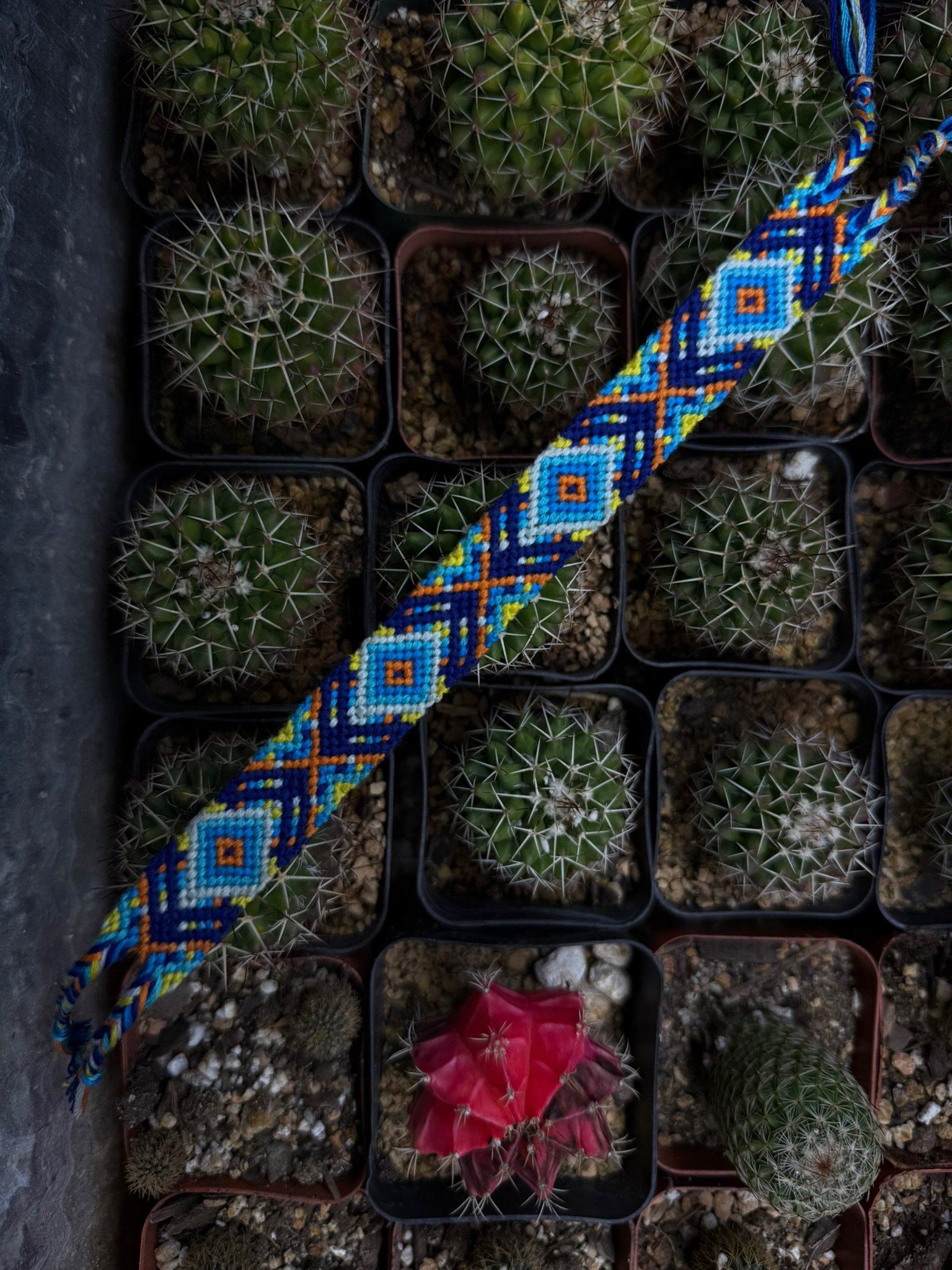 Photos page 54 | BraceletBook