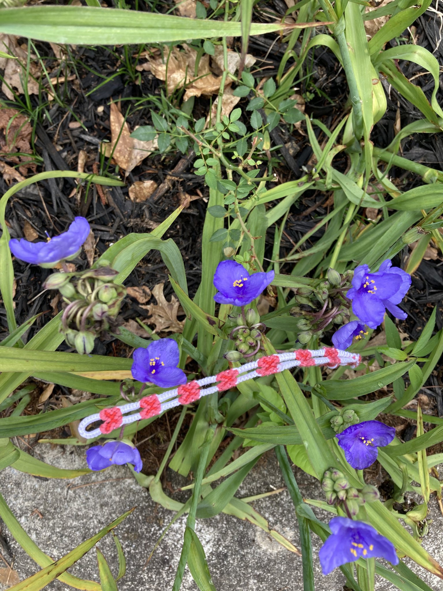 Normal pattern #147545 | BraceletBook