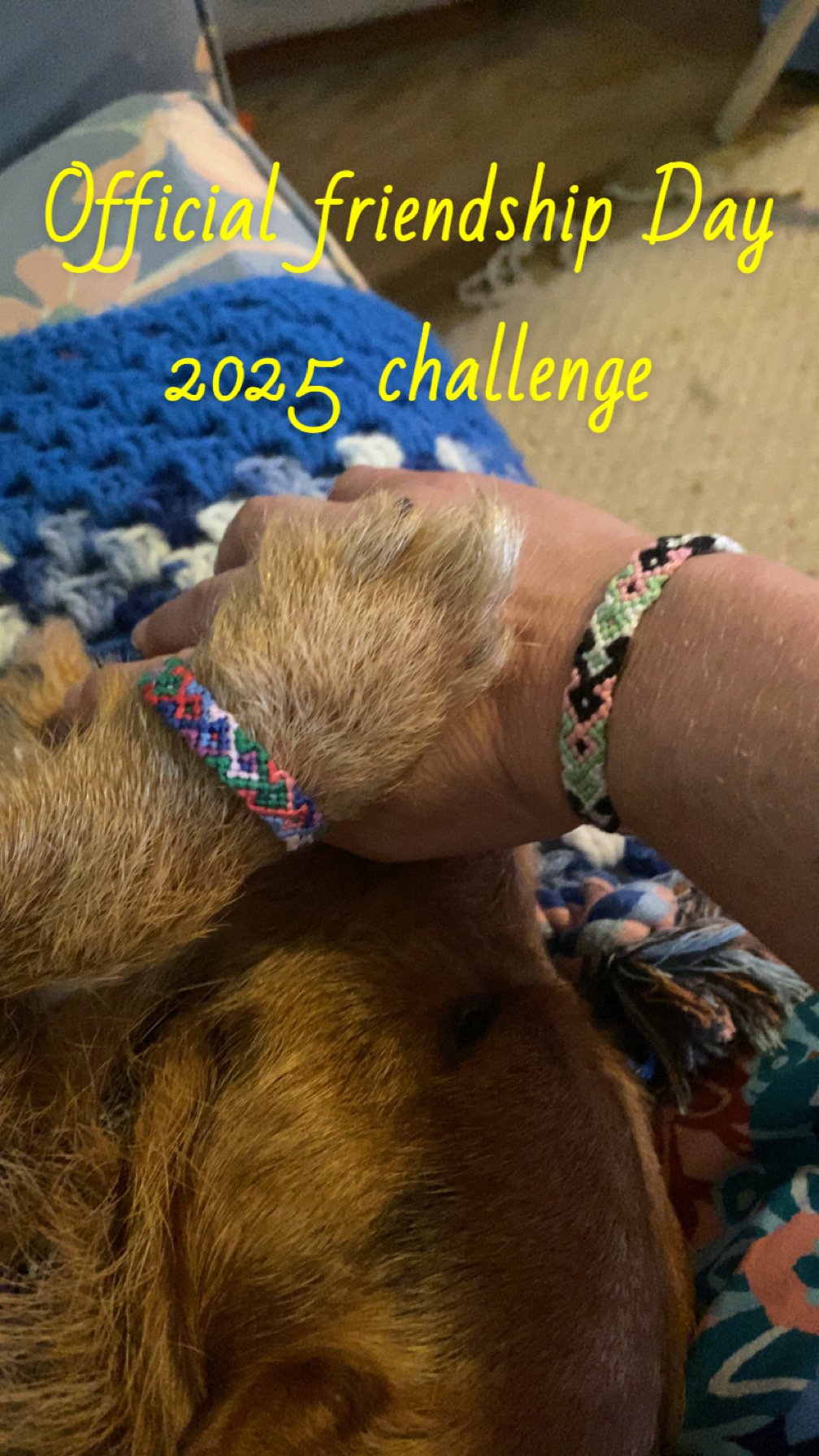 Normal pattern #24529 | BraceletBook