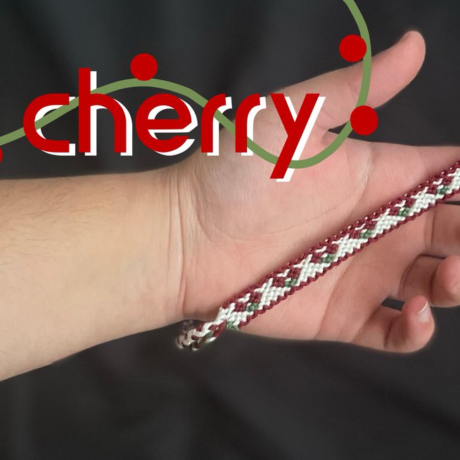 Videos | BraceletBook